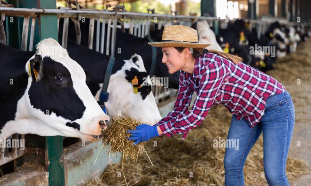 General farm worker – livestock Needed to work in Canada by Eric Millen ...